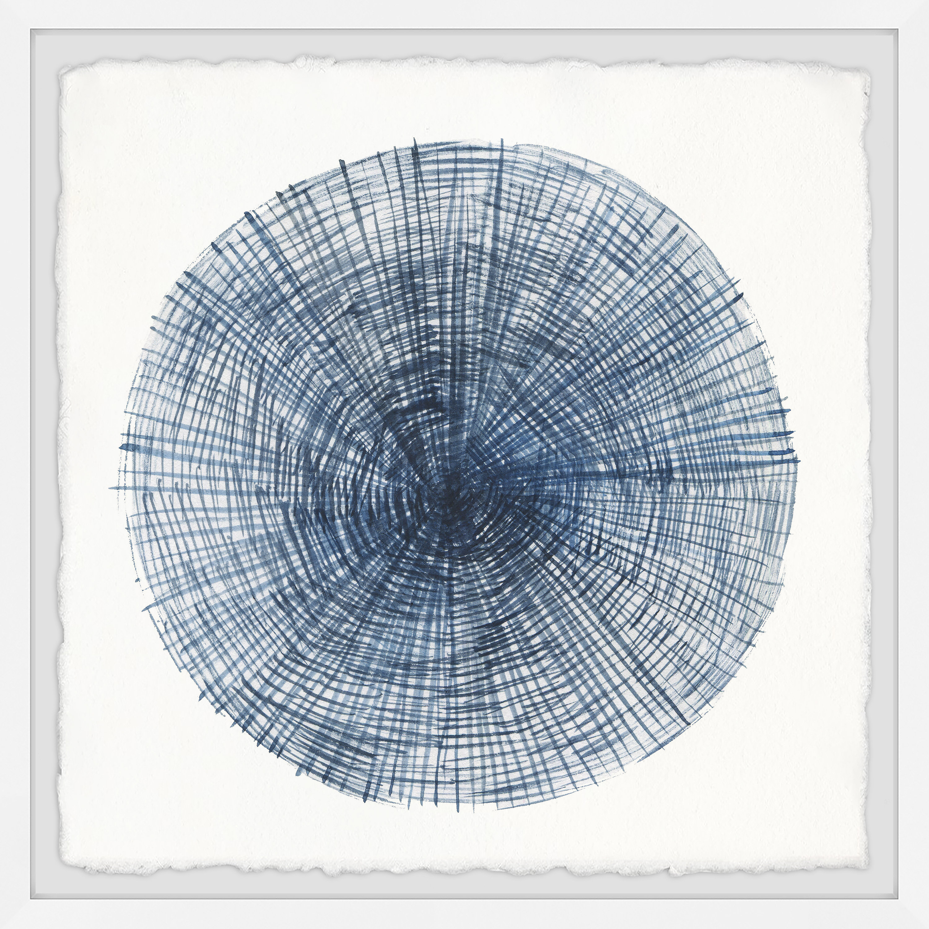 Beachcrest Home™ Embossed Tree Ring - Picture Frame Print on Paper ...