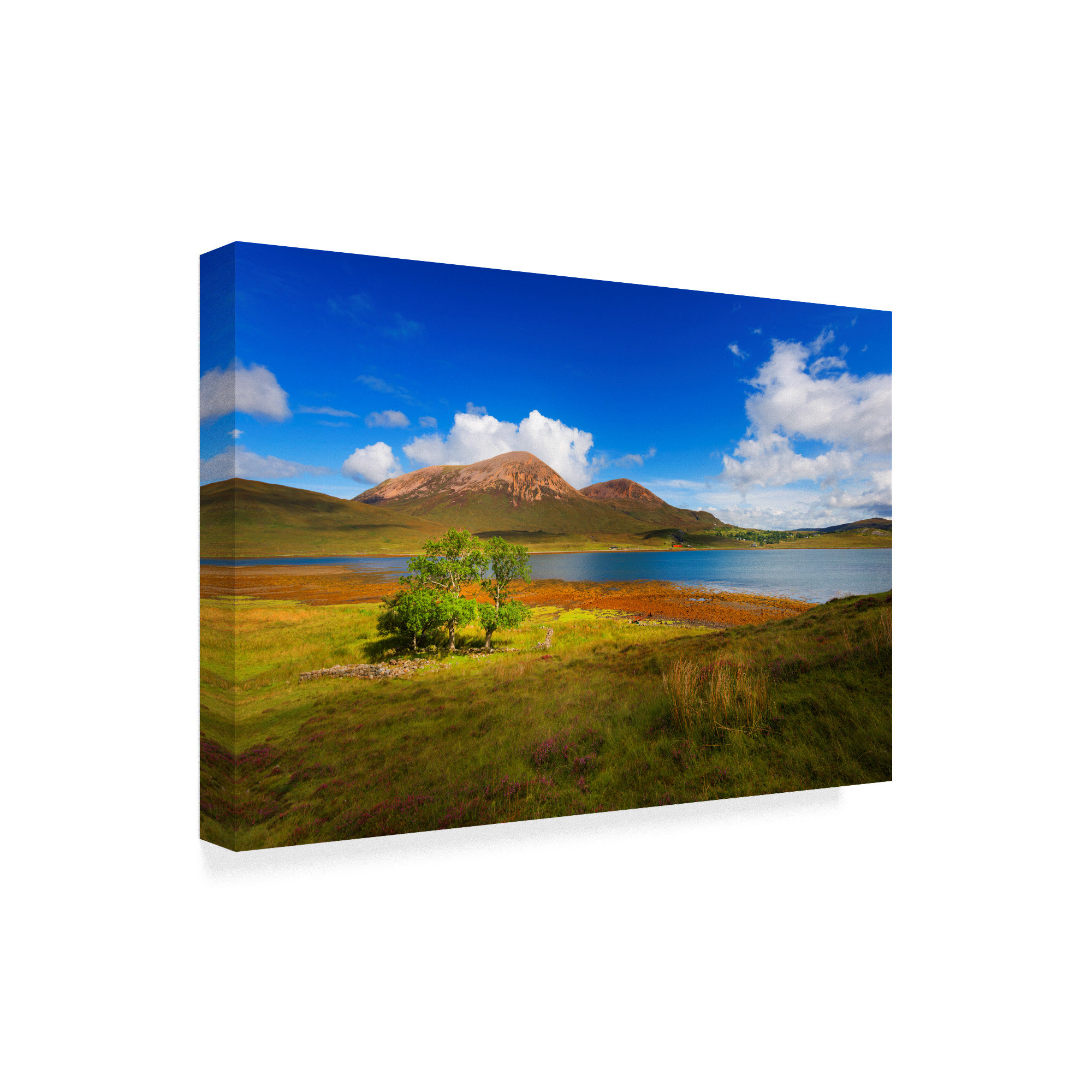 Winston Porter 'Light Trees' Photographic Print on Wrapped Canvas ...