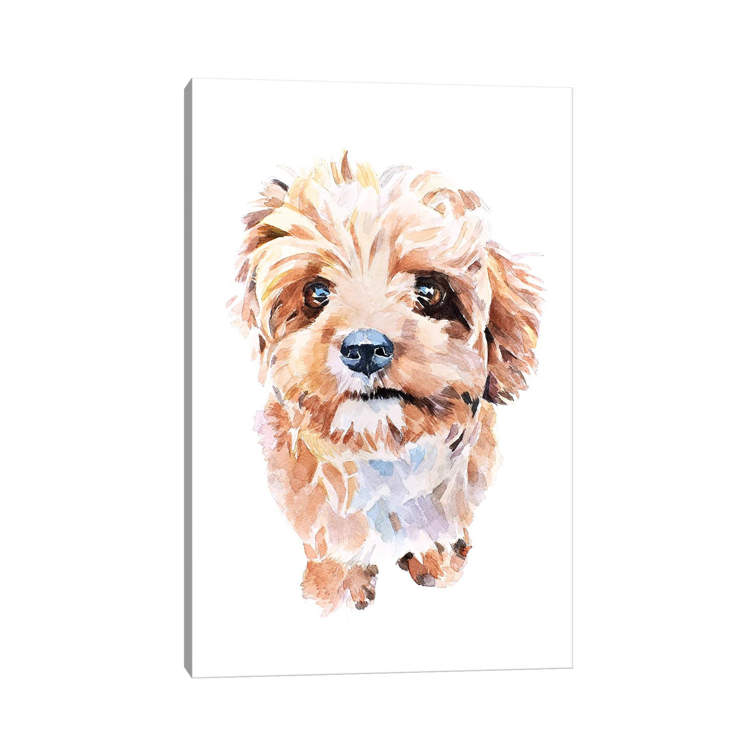 East Urban Home Cockapoo II by Edswatercolours - Wrapped Canvas Gallery ...
