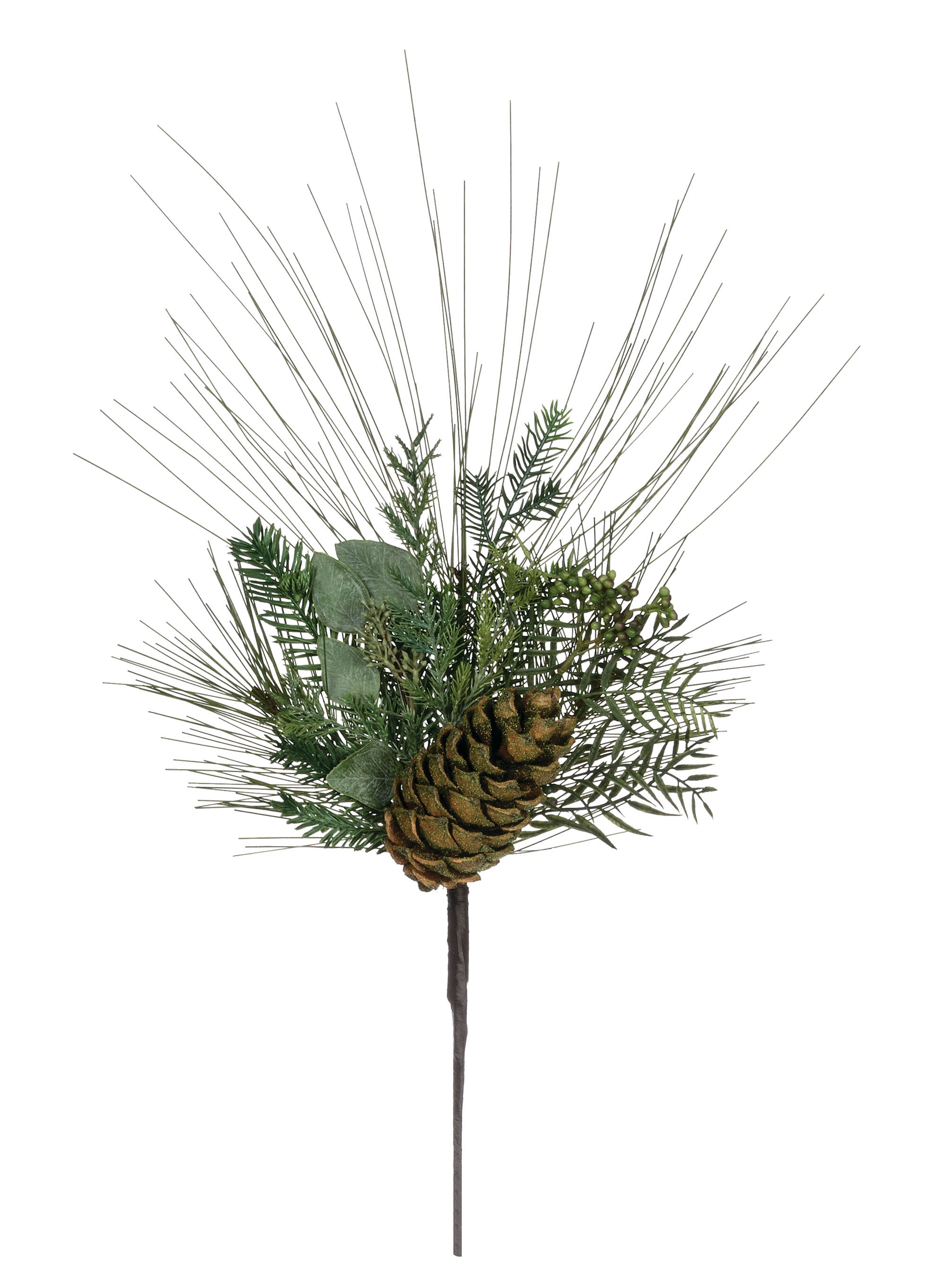 Millwood Pines Sugar Pine Wild Woods Mixed Stem | Wayfair