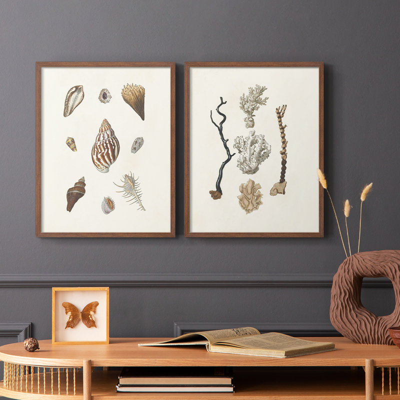 Wexford Home Knorr Shells & Coral IX-Premium Framed Print -Ready to ...