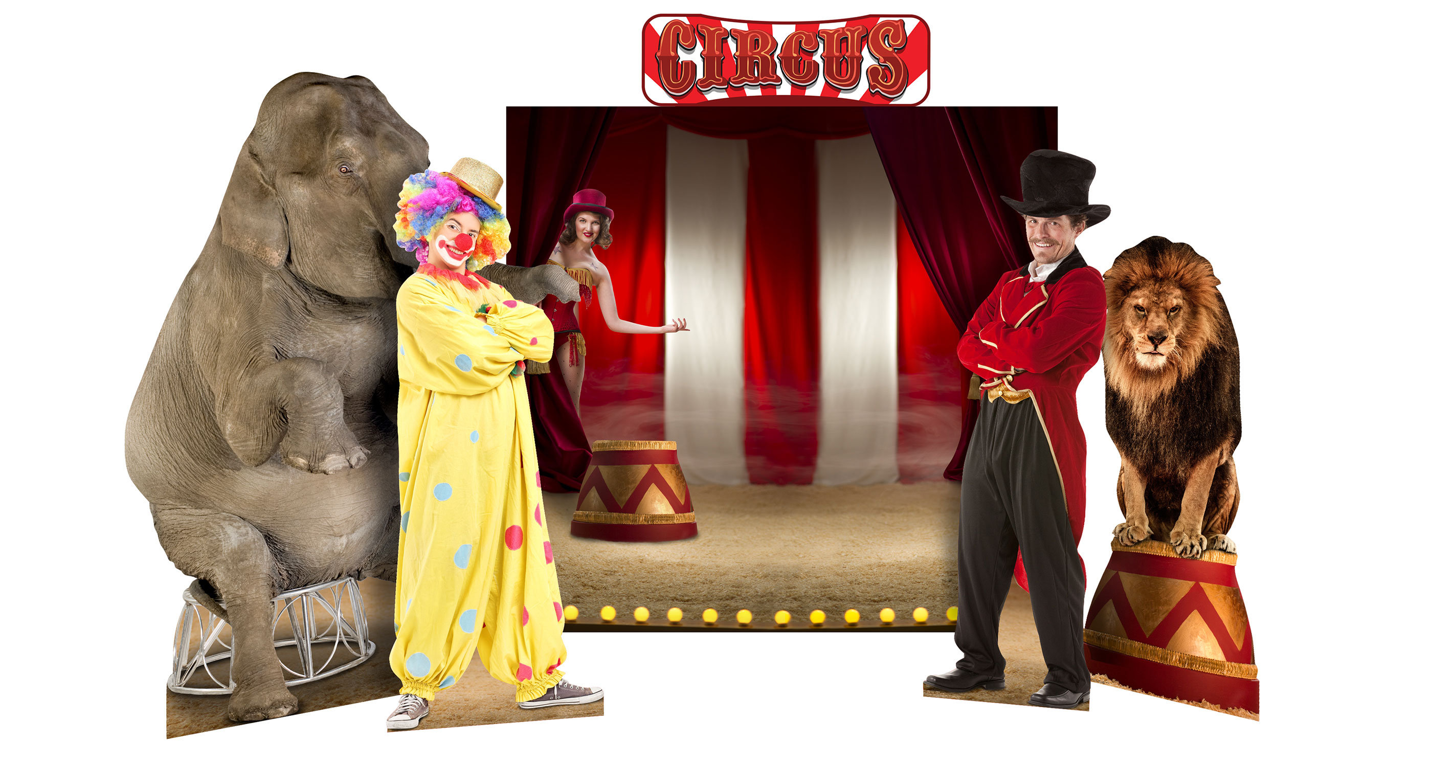 Advanced Graphics Circus Theme Backdrop 5 piece Standup Set | Wayfair