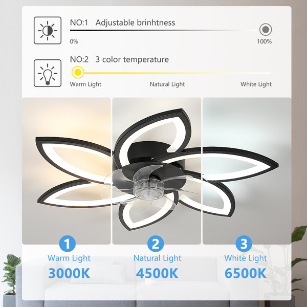 Metro Lane Crisbel 22cm Ceiling Fan with LED Lights | Wayfair.co.uk