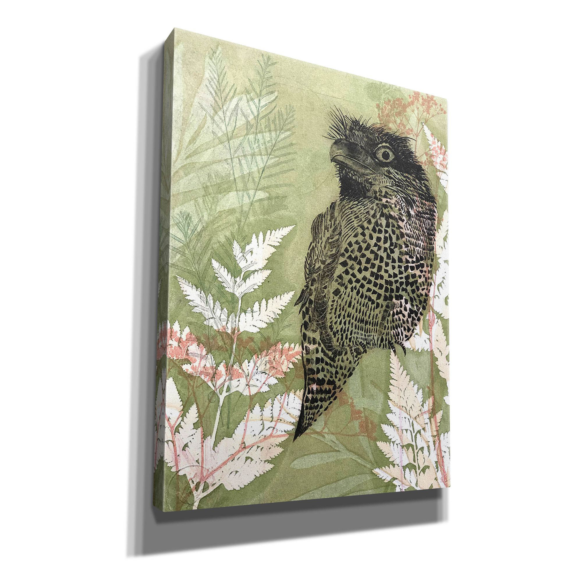 Bayou Breeze 'Tawny Frog Mouth' By Trudy Rice, Canvas Wall Art, 18"X26 ...