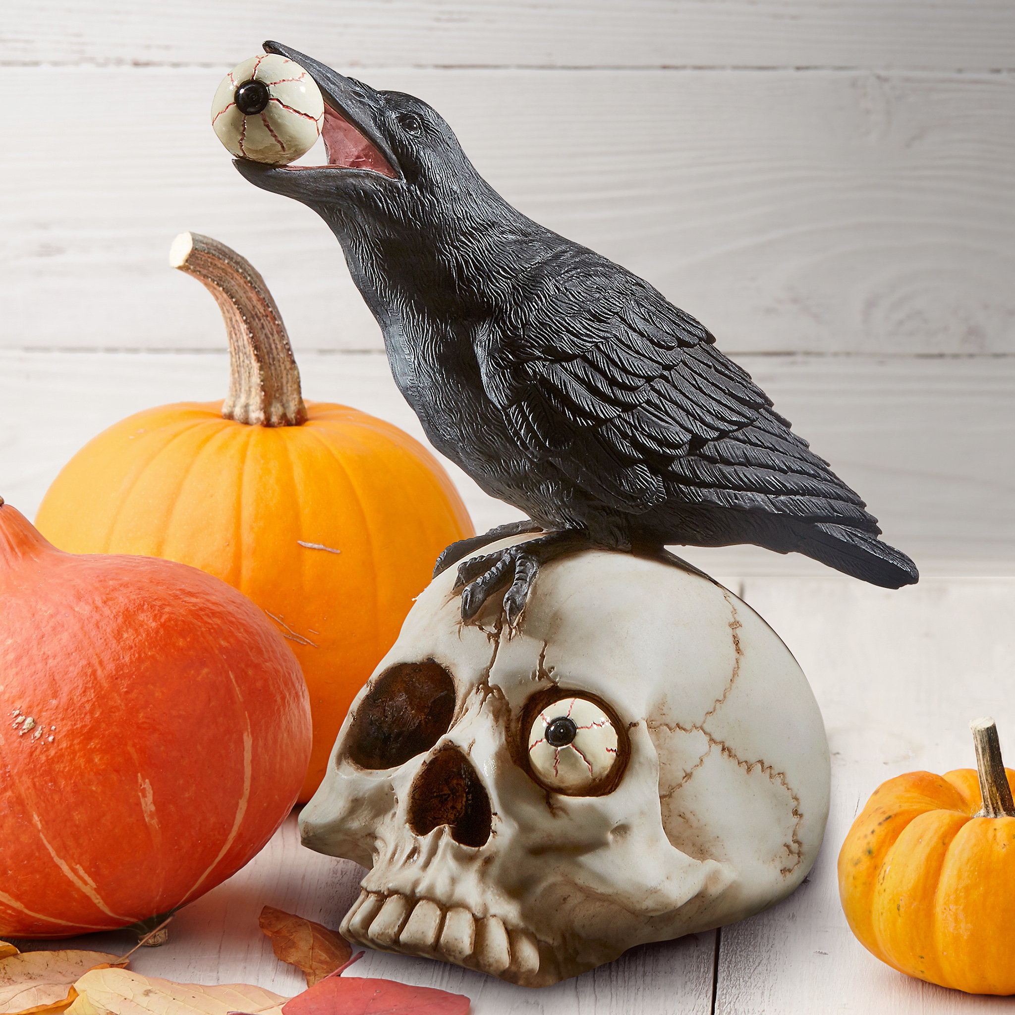 Design Toscano All Seeing Harbinger of Doom Raven and Skull Figurine & Reviews - Wayfair Canada