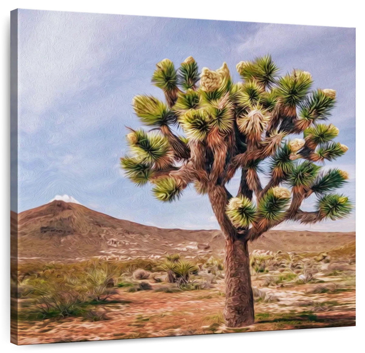 Elephant Stock Joshua Tree In Mojave Desert | Wayfair