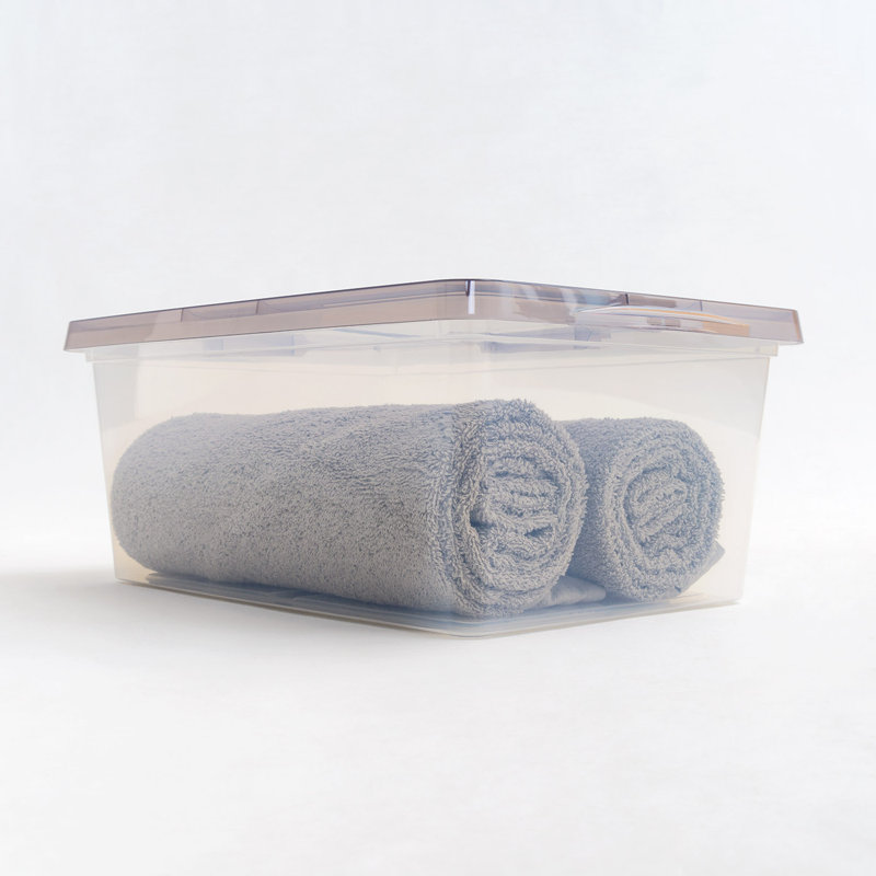 Wayfair Basics® Didmarton Snap Top Plastic Storage Box & Reviews | Wayfair