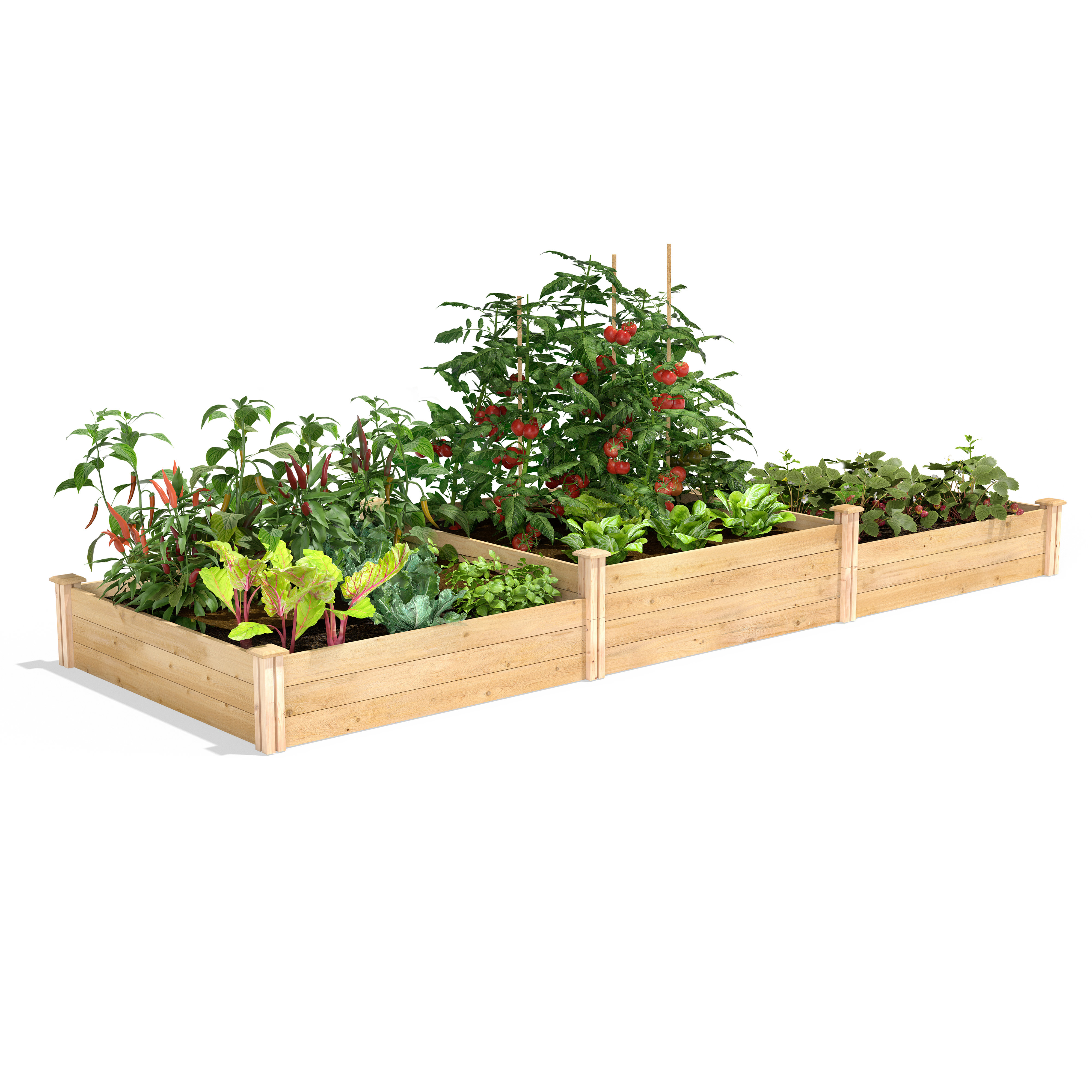 F4 Wood Raised Garden Bed & Reviews | Wayfair