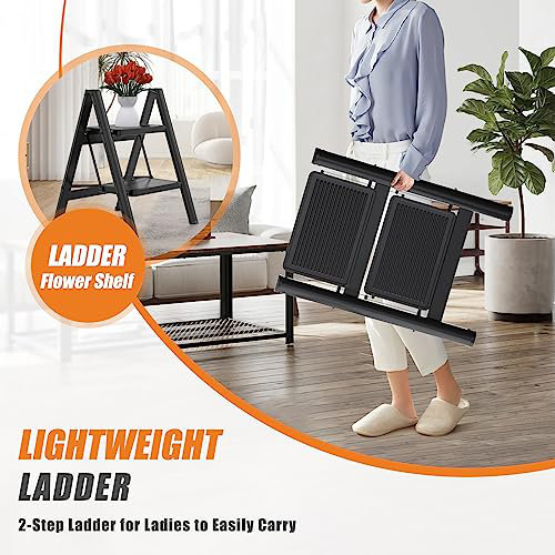 WFX Utility™ 500LBS Capacity Sturdy Portable Ladder | Wayfair