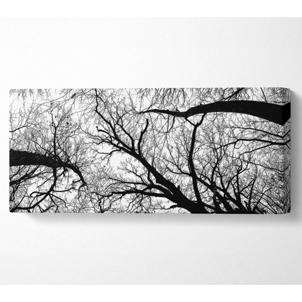 Ebern Designs Pecan Grove Black And White - Wrapped Canvas Art Prints ...