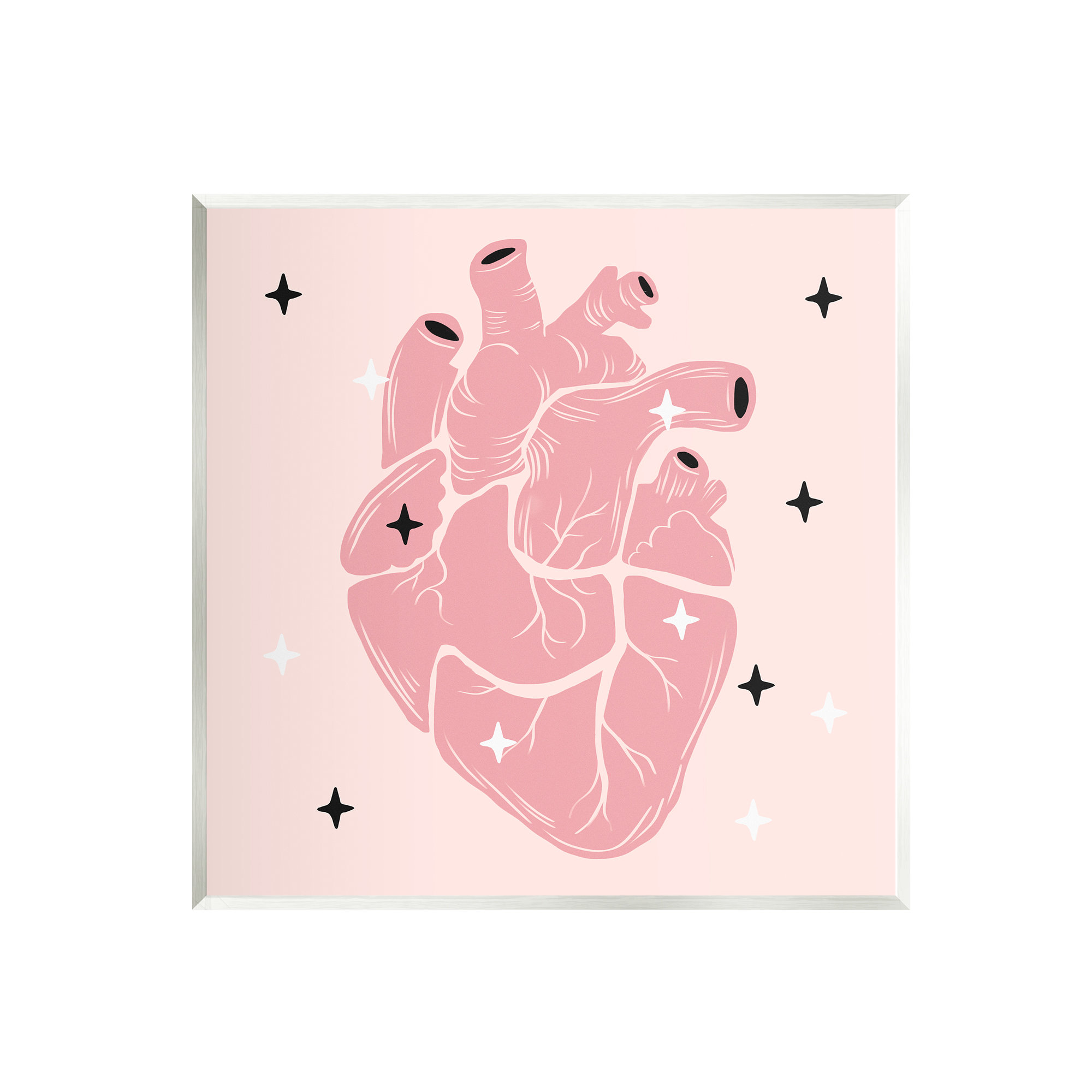 Stupell Industries Pink Goth Anatomical Heart by Sally Swatland ...