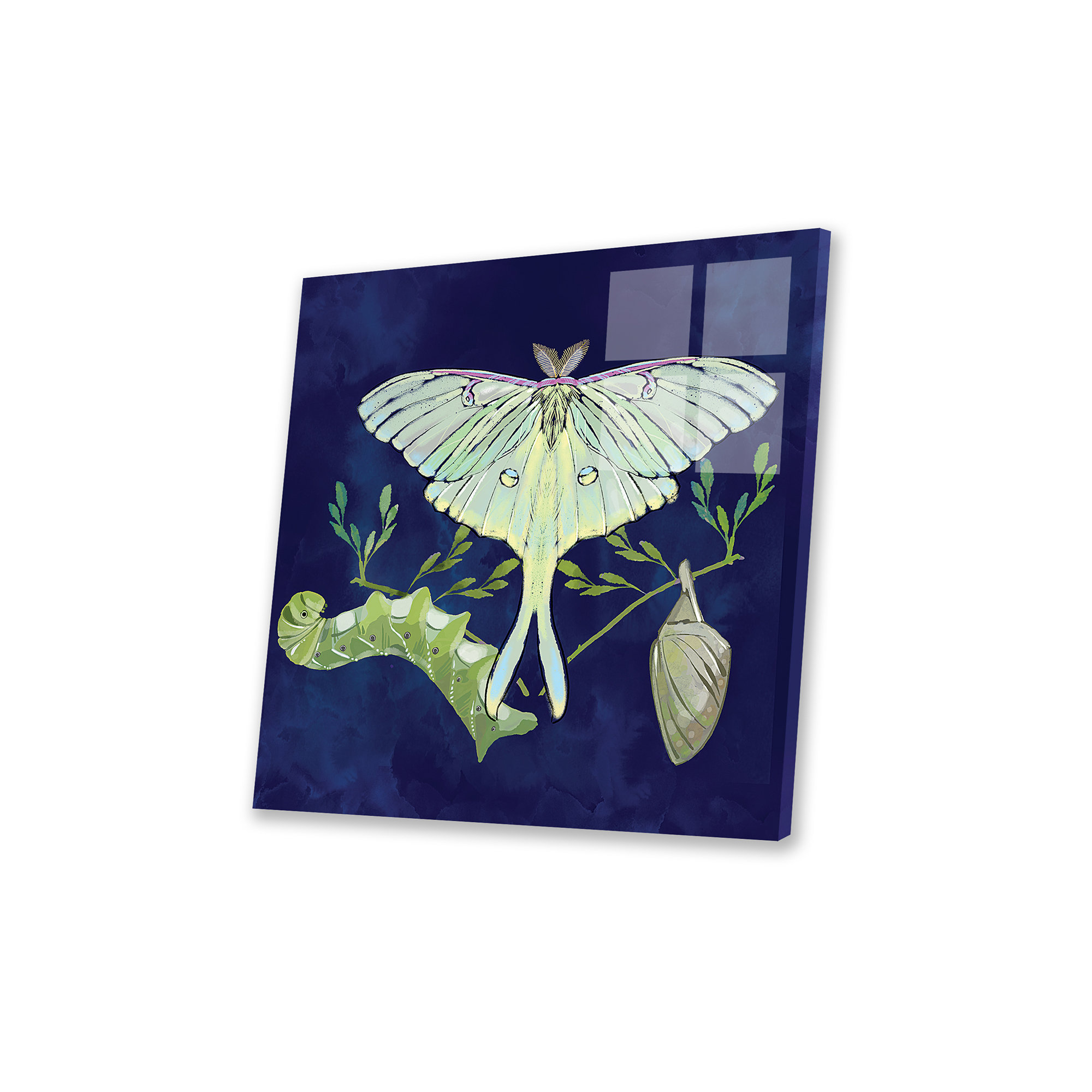 Gracie Oaks Metamorphosis Print On Acrylic Glass - Wayfair Canada