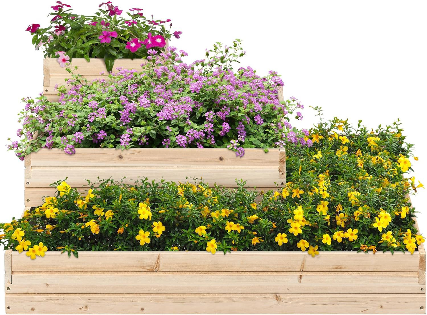 One Allium Way 3-Tier Wooden Raised Garden Bed For Horticulture, Open ...
