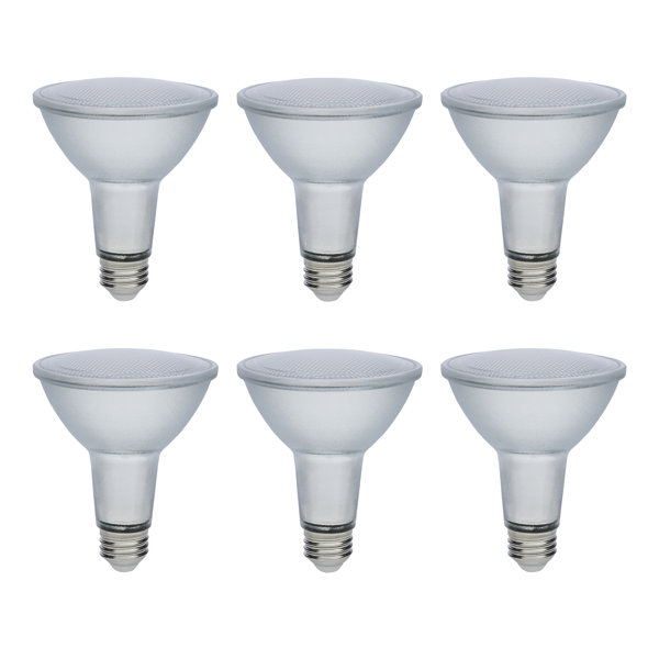 Satco 12 Watt Econo LED PAR30LN Bulb Medium Base; 120-277 Volt Silver ...