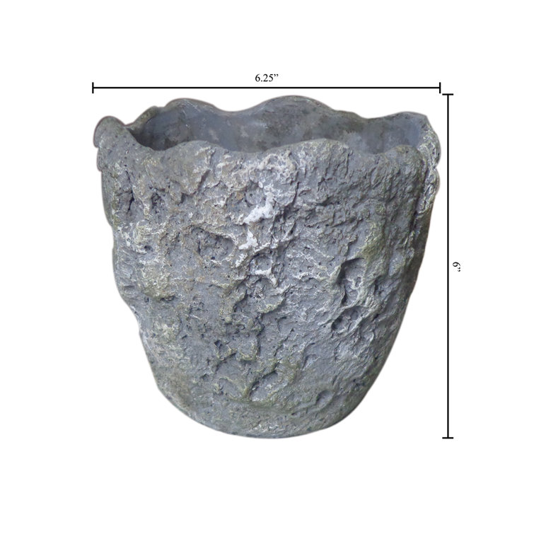 World Menagerie Mine Pot Planter - Wayfair Canada