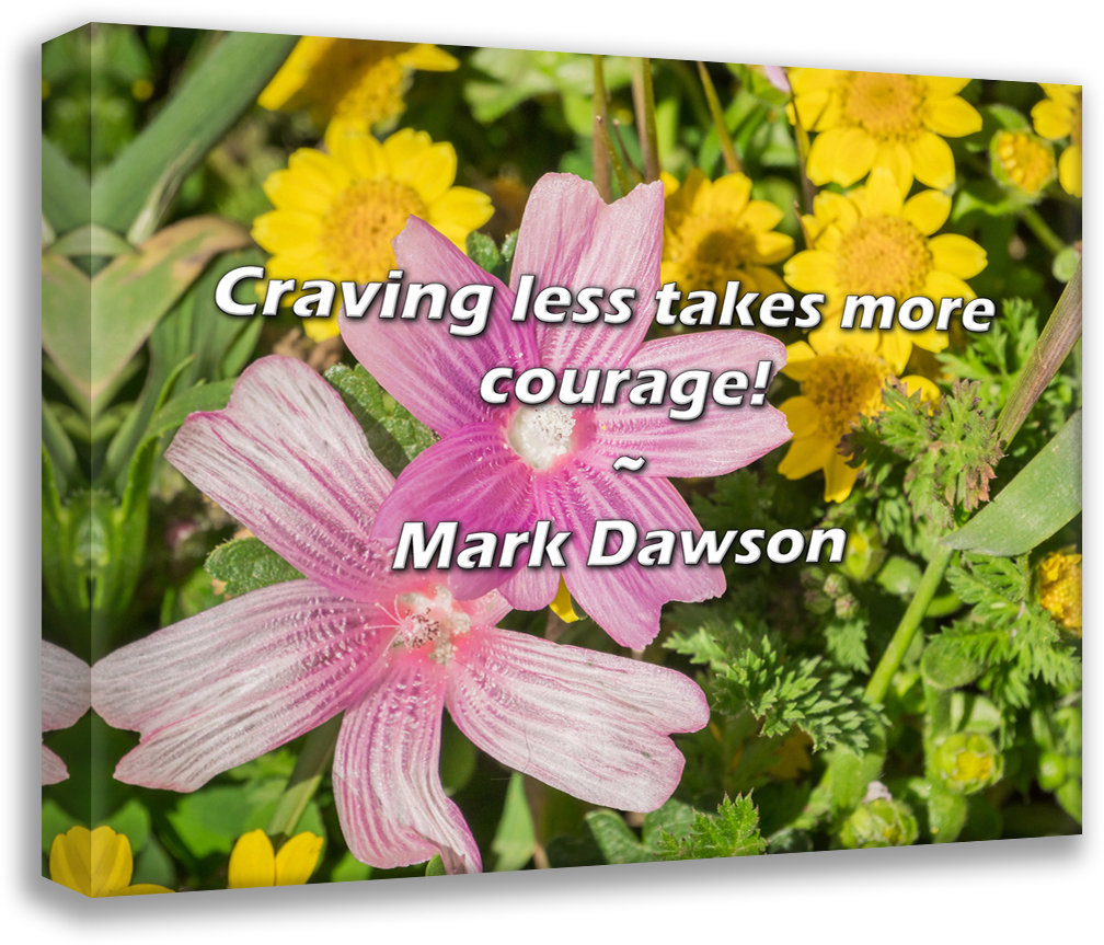 Latitude Run® Mark Dawson Quote: Craving less takes more courage! | Wayfair