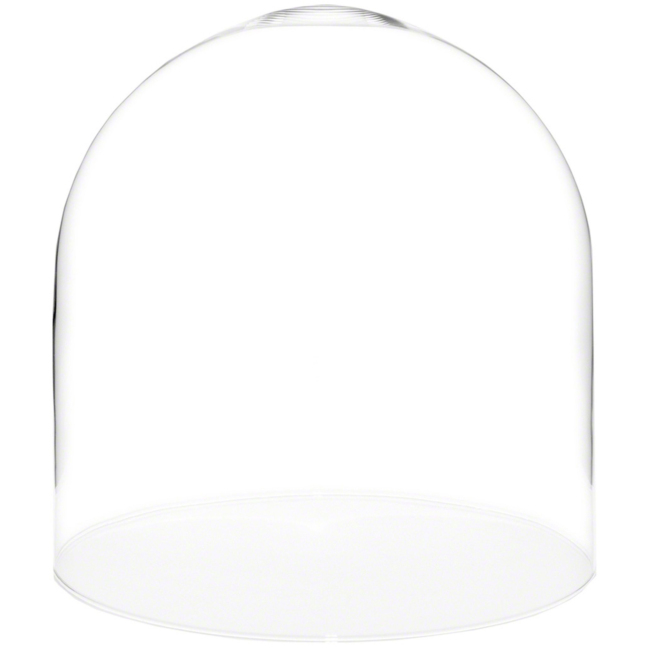 Ebern Designs Vucciria 9.75" x 10" Glass Display Dome Cloche | Wayfair