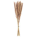 Vickerman 30" Dried Natural Brown Reed Bunch. Approximately 20 stems ...