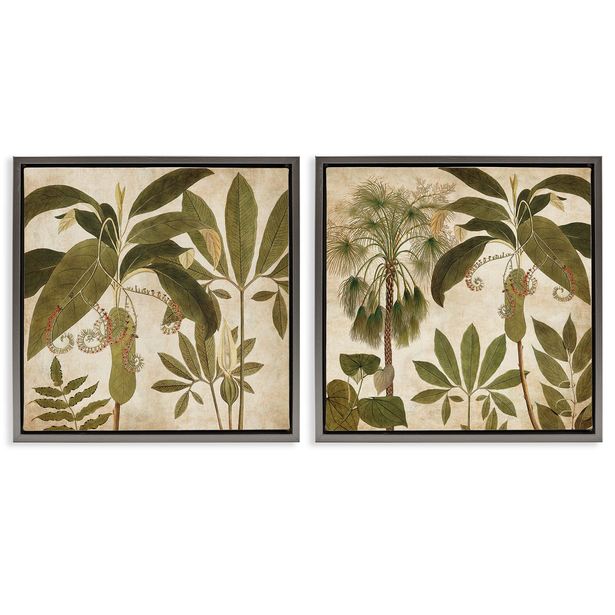 Bay Isle Home™ Vintage Botanical Tropics 2 PC Framed Floater Canvas Set ...