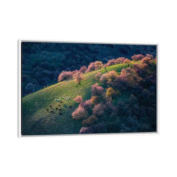 Union Rustic Sunset In The Primitive Wild Apricot Forest by Hua Zhu ...