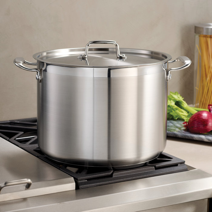 Tramontina Gourmet Aluminum Stock Pot with Lid & Reviews | Wayfair