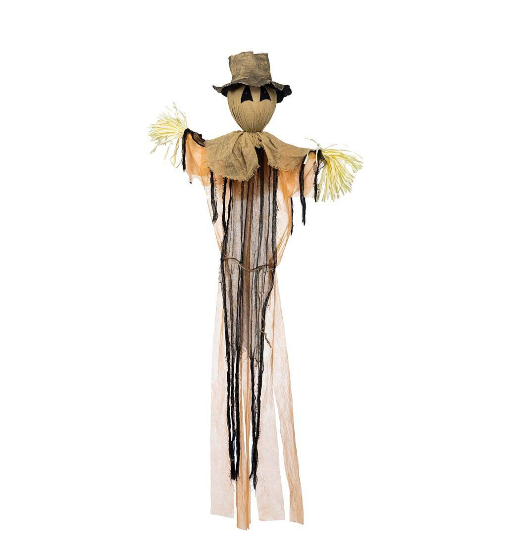 The Holiday Aisle® Spooky Scarecrow Lighted Display | Wayfair