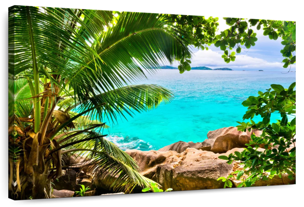 Elephant Stock Seychelles Scenery | Wayfair