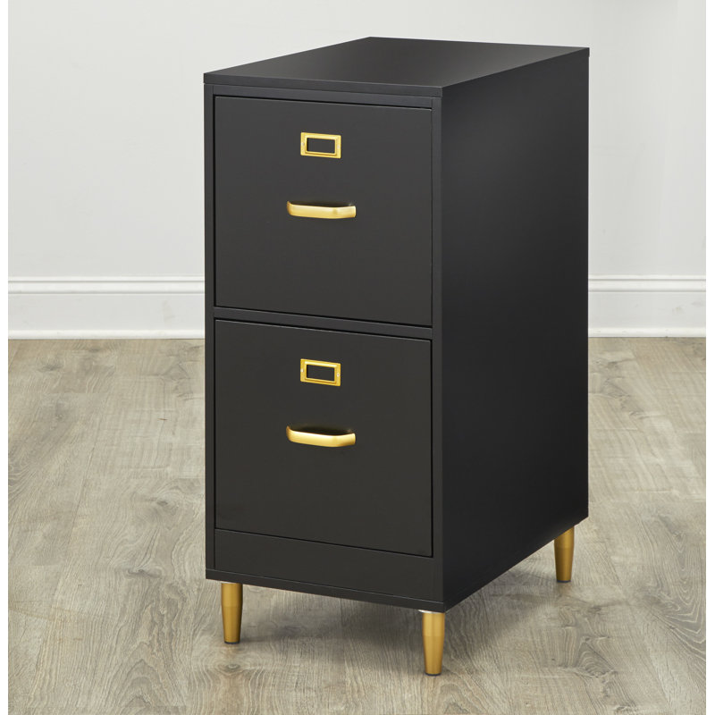 Mercer41 Dahle 15'' Wide 2 -Drawer File Cabinet & Reviews | Wayfair
