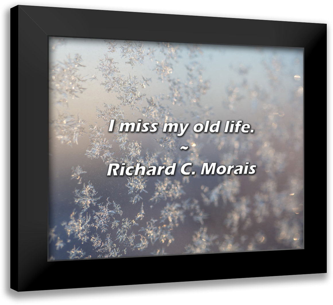 Ivy Bronx Richard C. Morais Quote: I miss my old life. | Wayfair