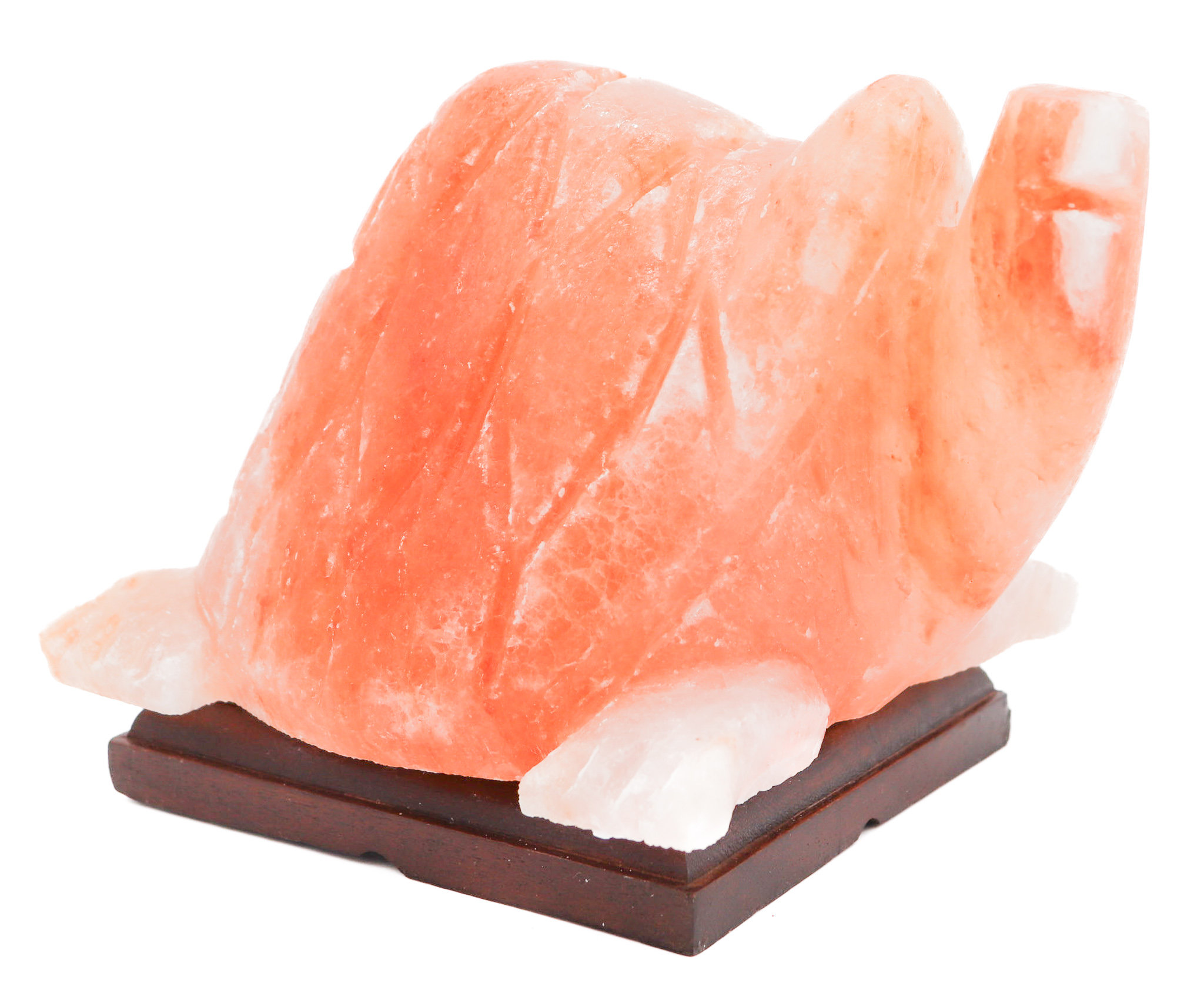 Dakota Fields 10lbs Salt Lamp | Wayfair
