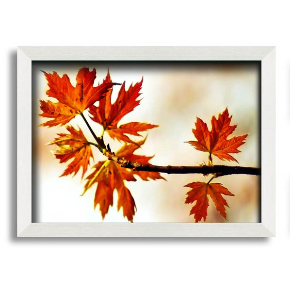 Ophelia & Co. See You In Spring - Single Picture Frame Photograph ...