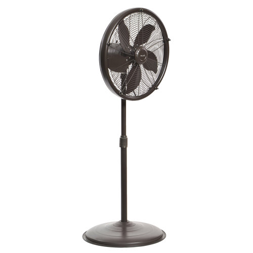 NewAir 55.9" Oscillating Standing Fan & Reviews | Wayfair