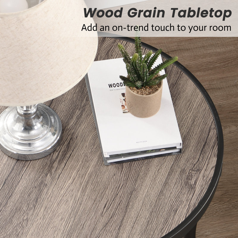 17 Stories Aderes Wood End Table with Storage & Reviews - Wayfair Canada