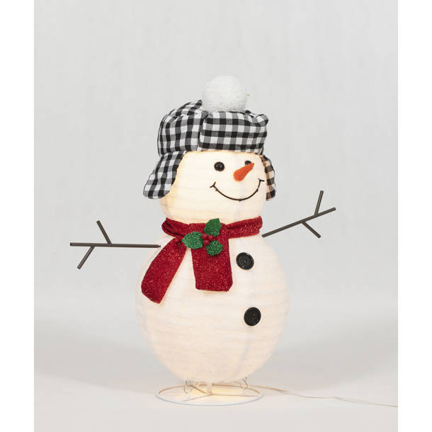 The Holiday Aisle® Snowman Lighted Display | Wayfair