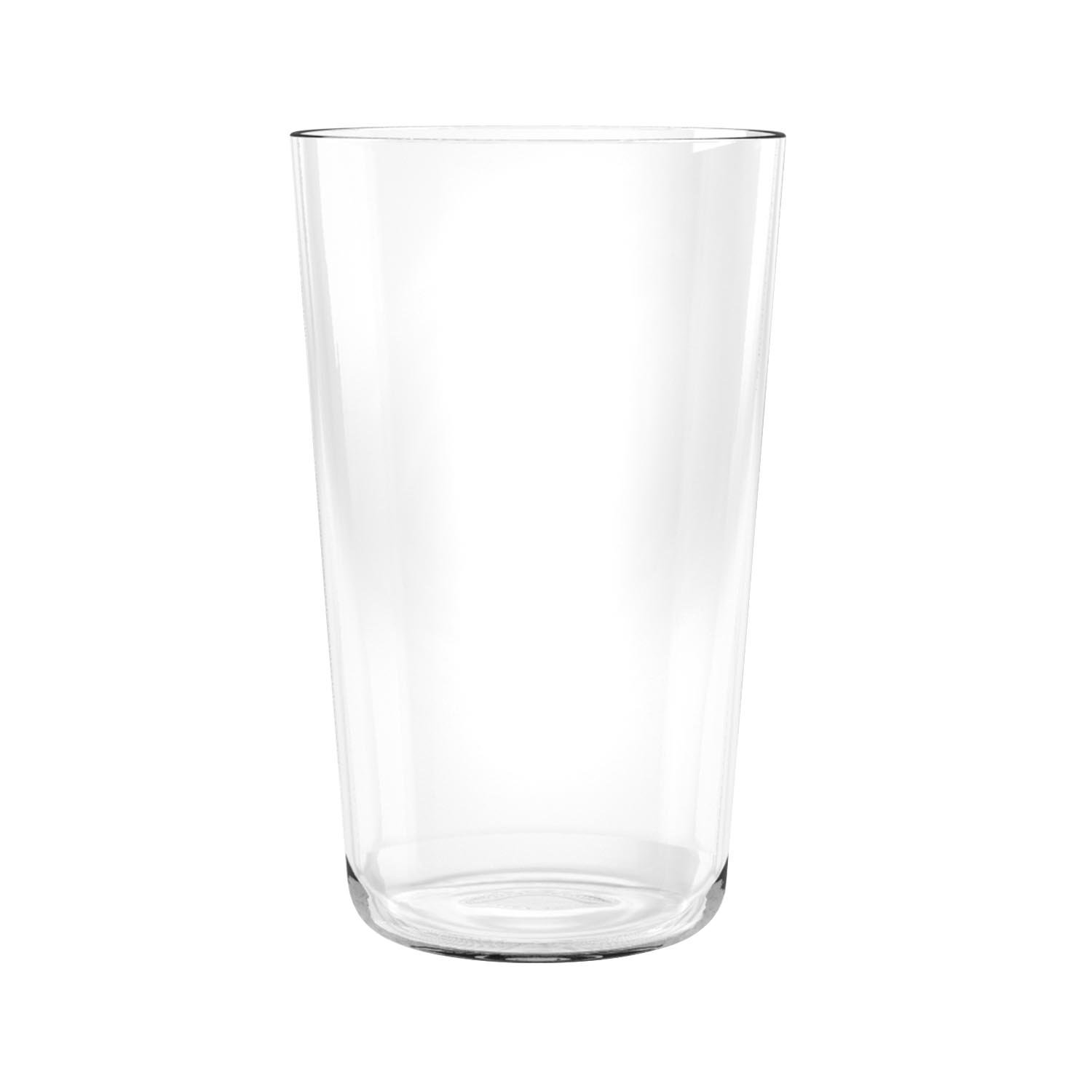 AllModern Gaige 21 oz. Plastic Drinking Glassware Set & Reviews | Birch ...
