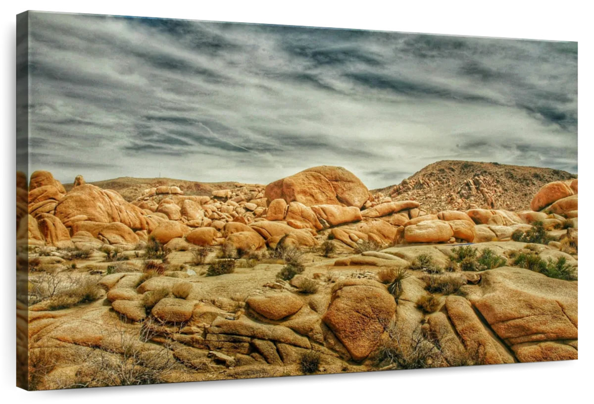 Elephant Stock Rocky Joshua Tree Park | Wayfair