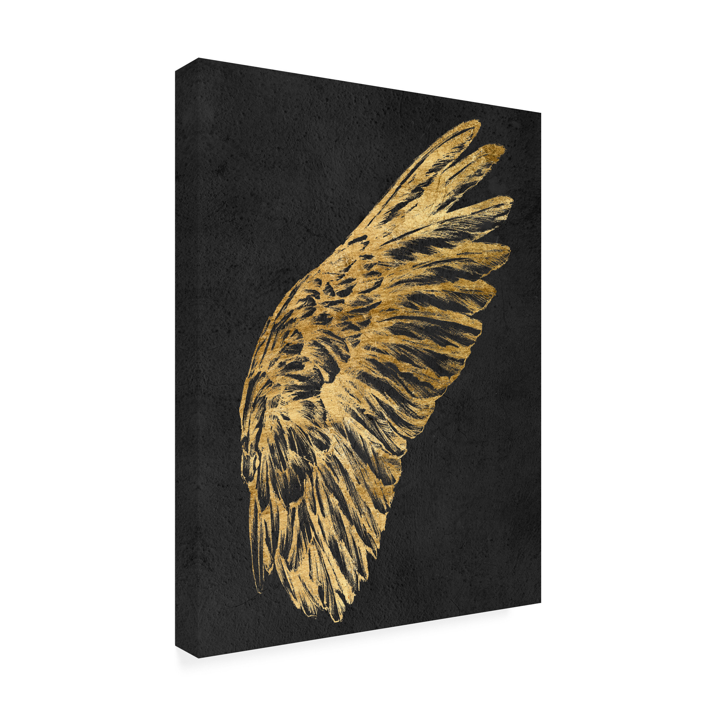 Bay Isle Home™ Vision Studio Gilded Wing II Canvas Art - Wayfair Canada