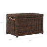 Highland Dunes Altagore Wicker Trunk & Reviews | Wayfair