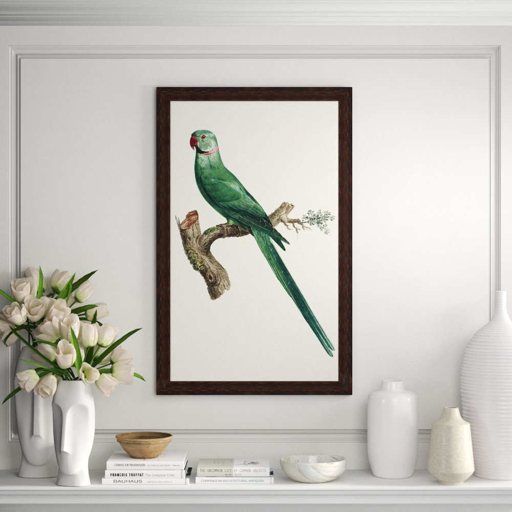 Wendover Art Group Perched Parrot " Perched Parrot 2 " - Wayfair Canada