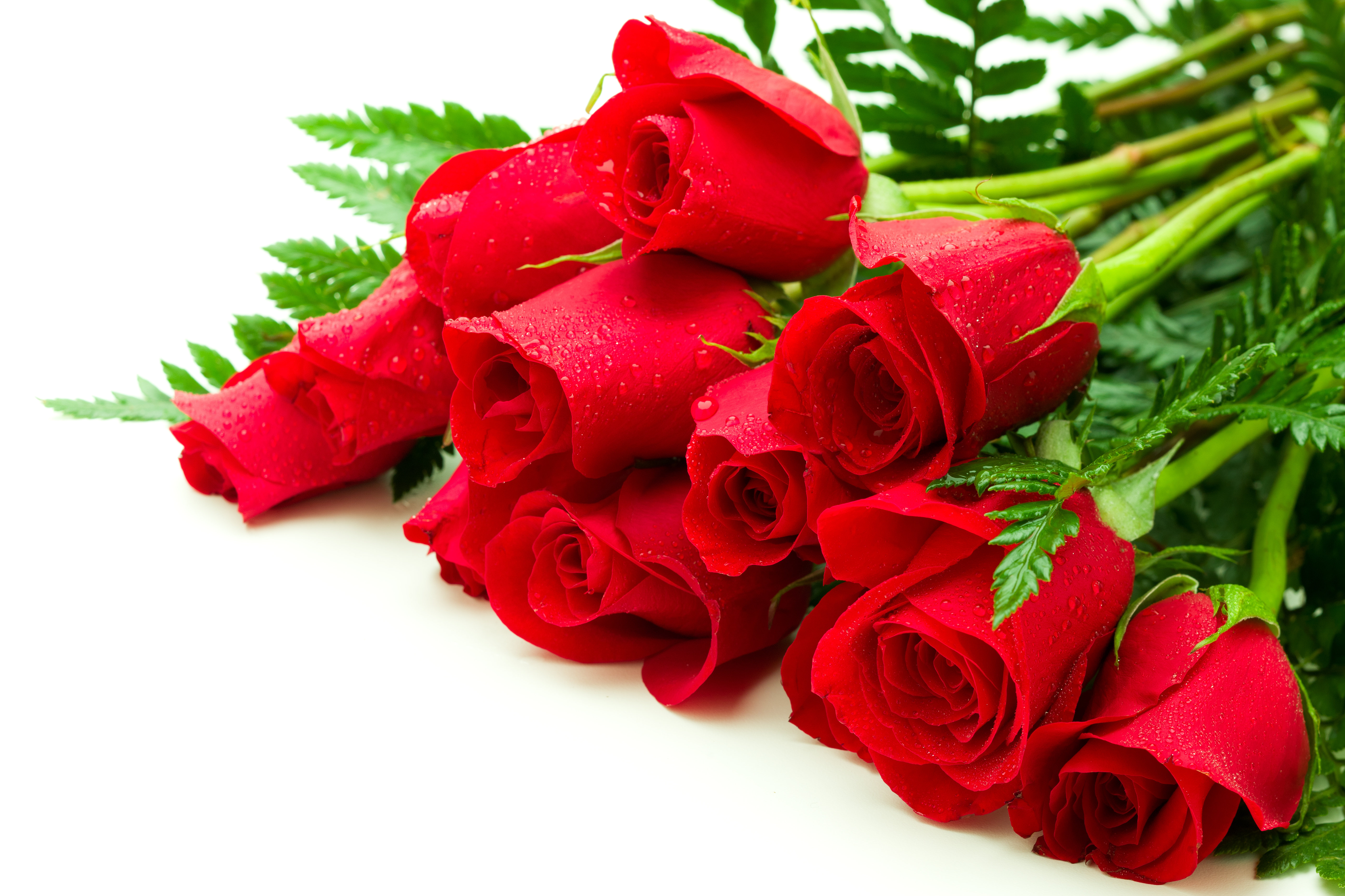 Ebern Designs Roses by Mashuk | Wayfair