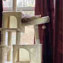 Archie & Oscar™ Timmins 78.3" Multi-Level Cat Tree with Cat Scratching ...