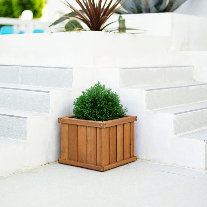 Winston Porter Alann 15 inch Cedar wood Square Planter Box & Reviews ...