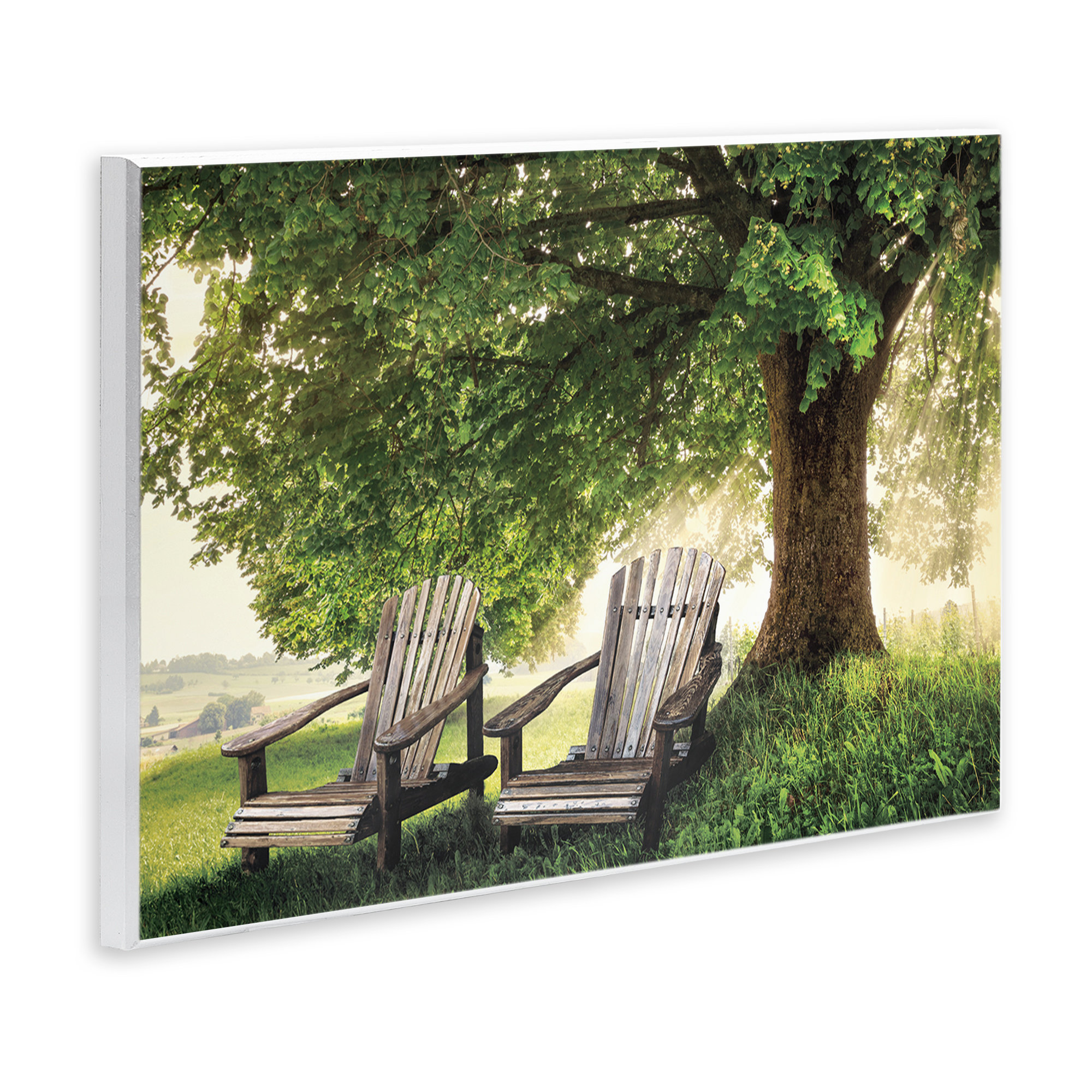 Ophelia & Co. Made In The Shade Wall Plaque, design by Celebrate Life ...