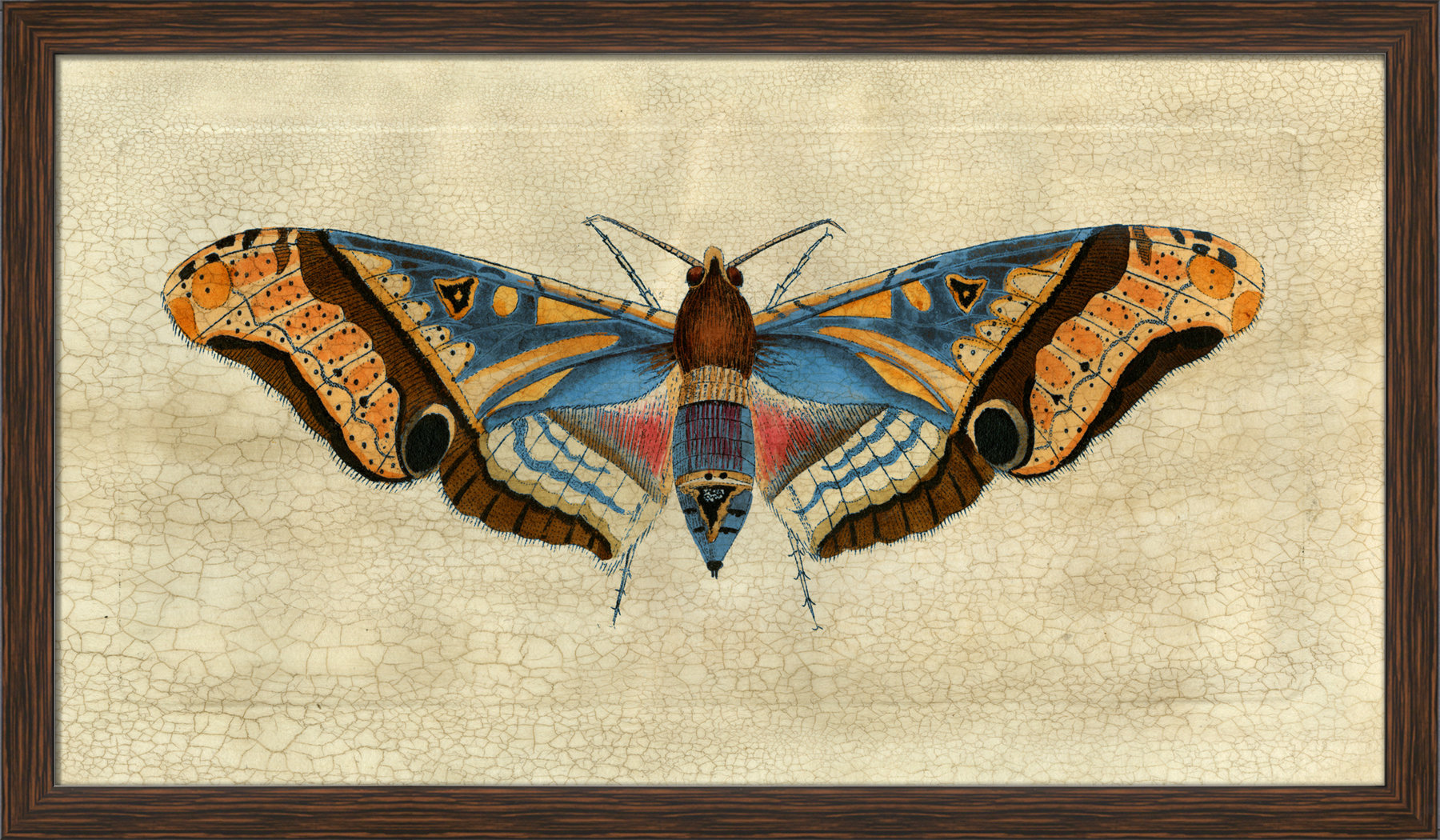 Wendover Art Group Grand Moth II - Picture Frame Painting on Paper ...