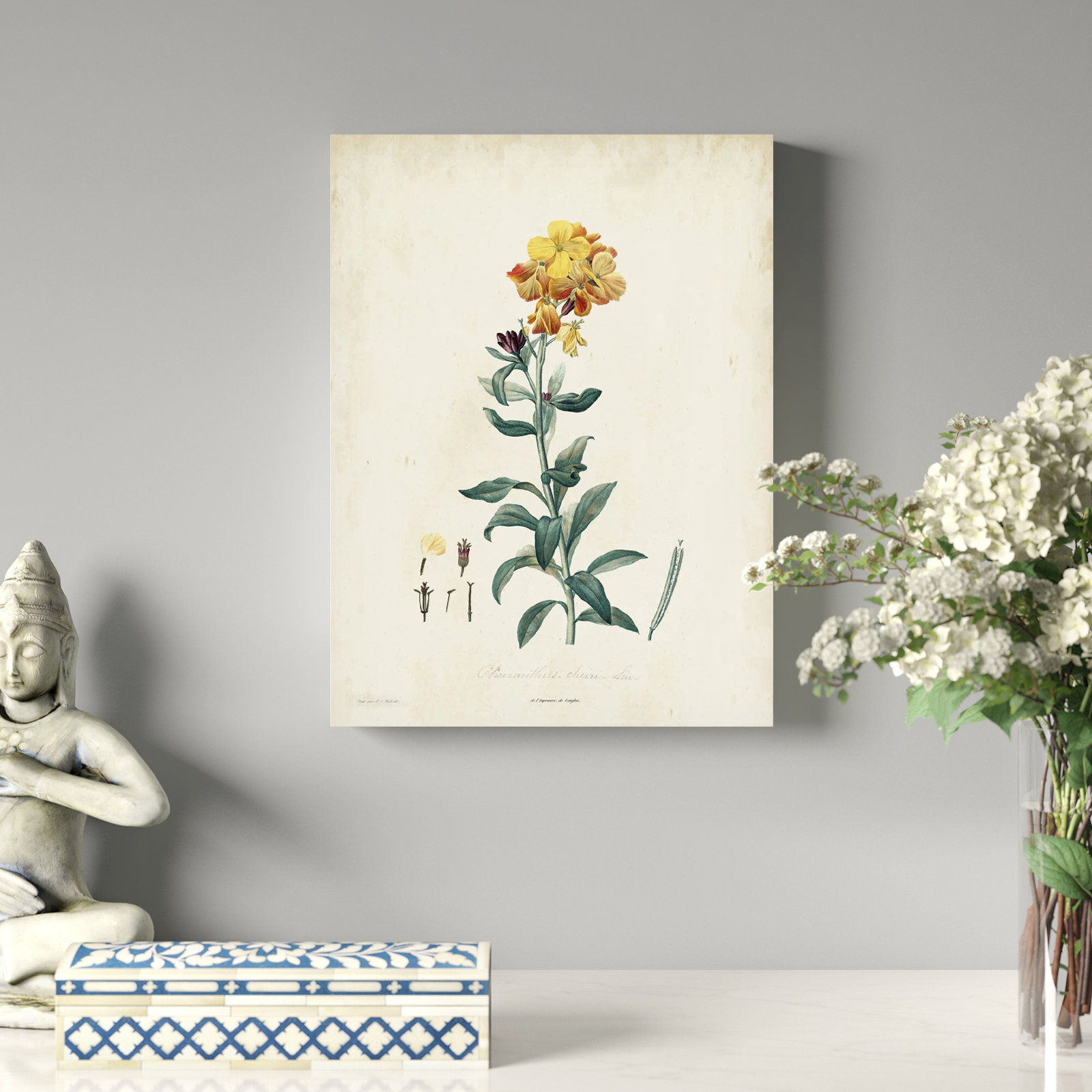 Laurel Foundry Modern Farmhouse Traditional Botanical III On Canvas by ...