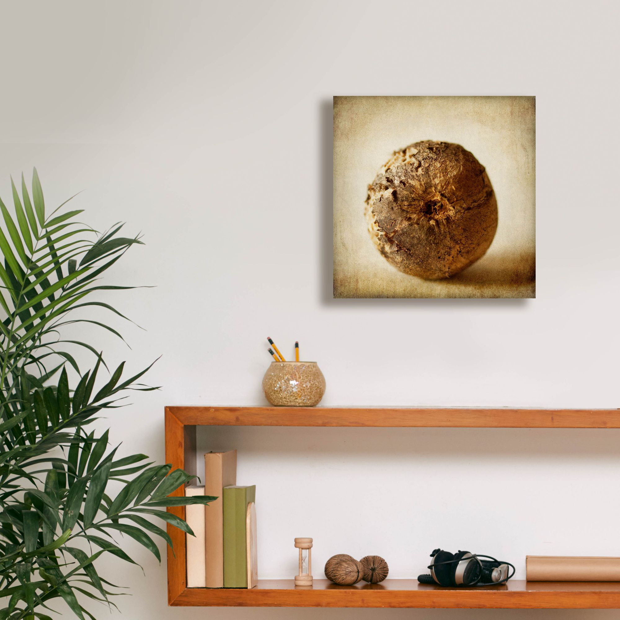 Latitude Run® 'Oak Pods 5' By Jessica Rogers, Canvas Wall Art - Wayfair ...