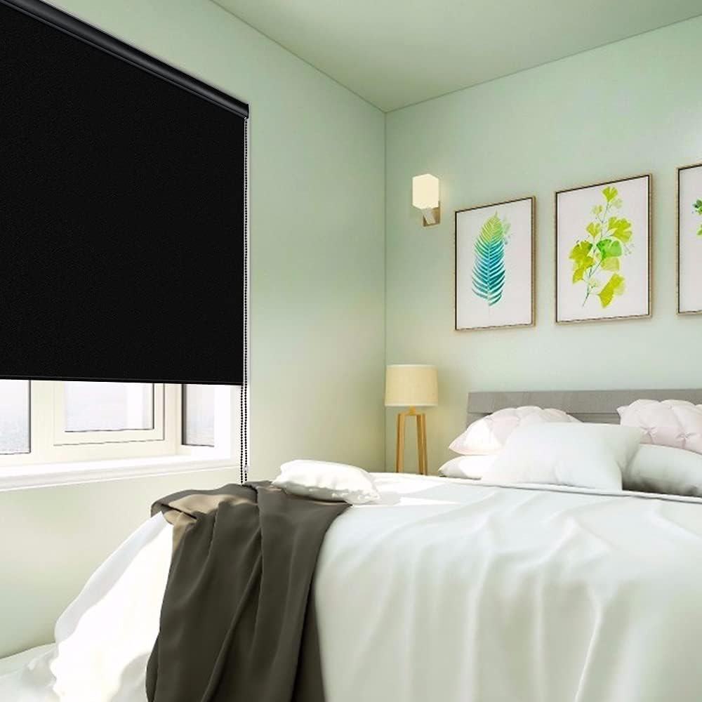 Symple Stuff Blackout Roller Shades Blinds with Valance, Black ...