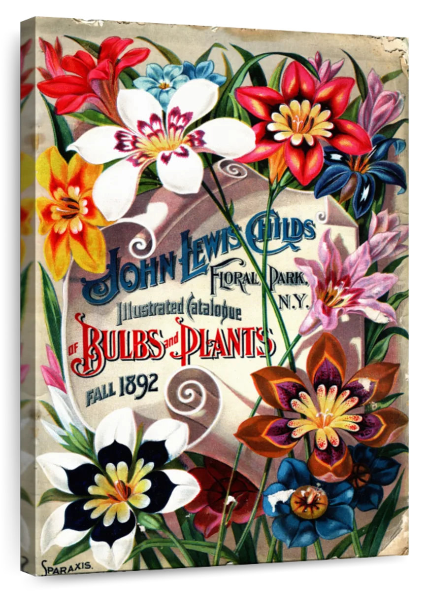 Lark Manor Harnek Flower Seed Catalogues II - Wayfair Canada