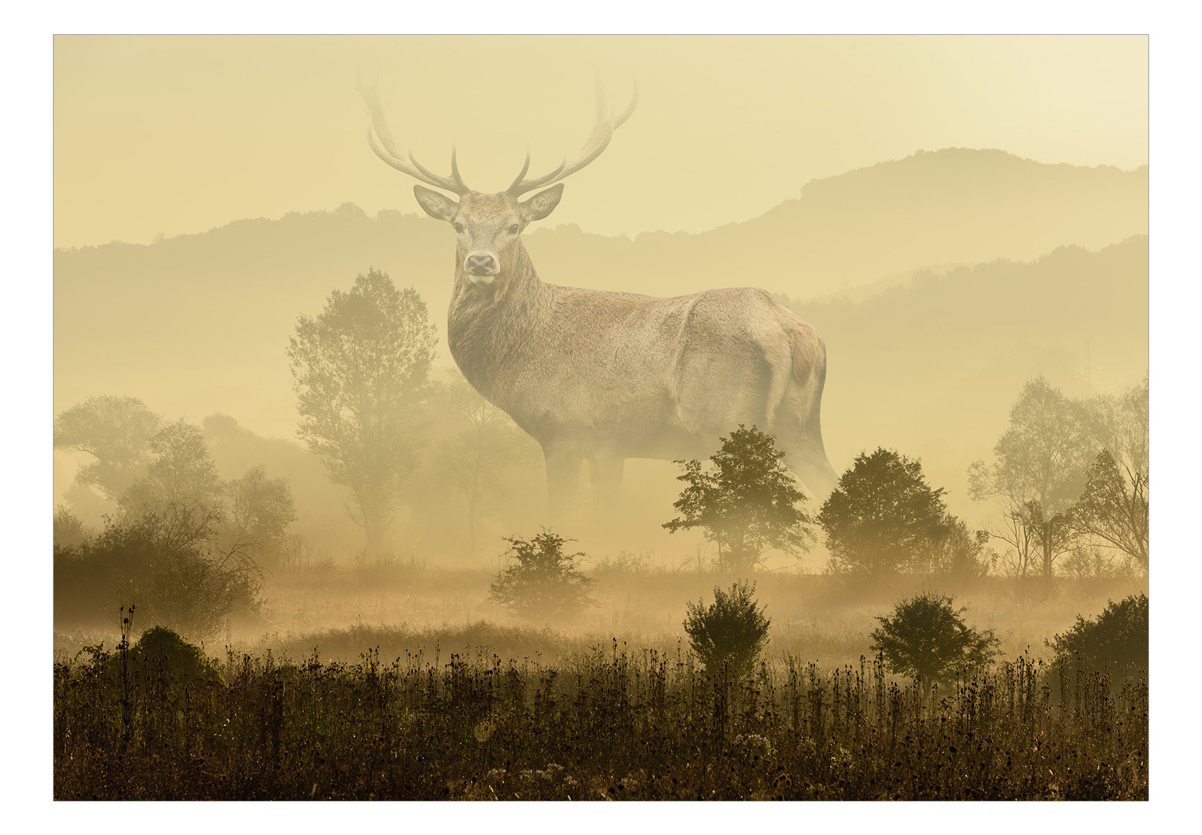 Millwood Pines Coulette Wall Mural | Wayfair