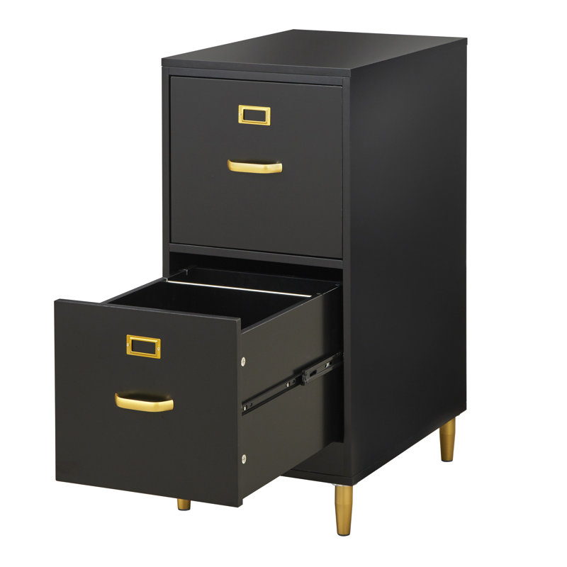 Mercer41 Dahle 15'' Wide 2 -Drawer File Cabinet & Reviews | Wayfair